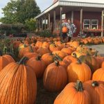 King Orchards | You Pick Fruit | Montmorency Tart Cherry Juice | Michigan