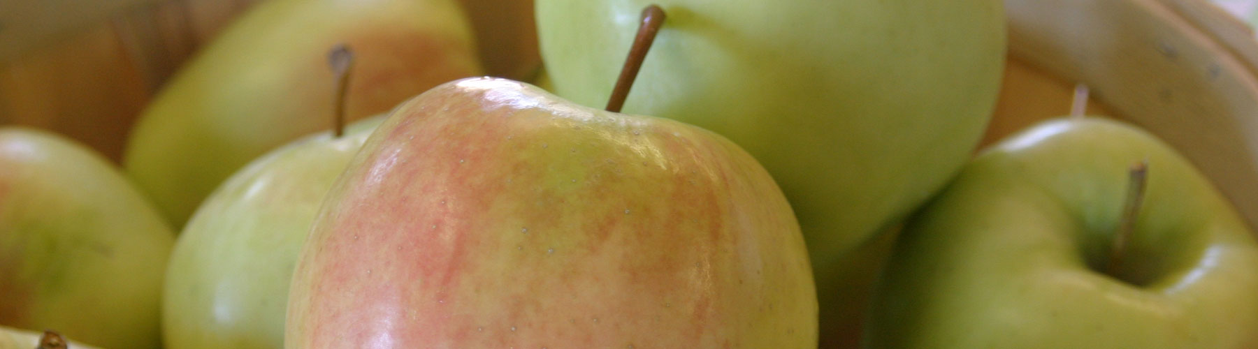 King Orchards | Montmorency Tart Cherry Juice | Michigan