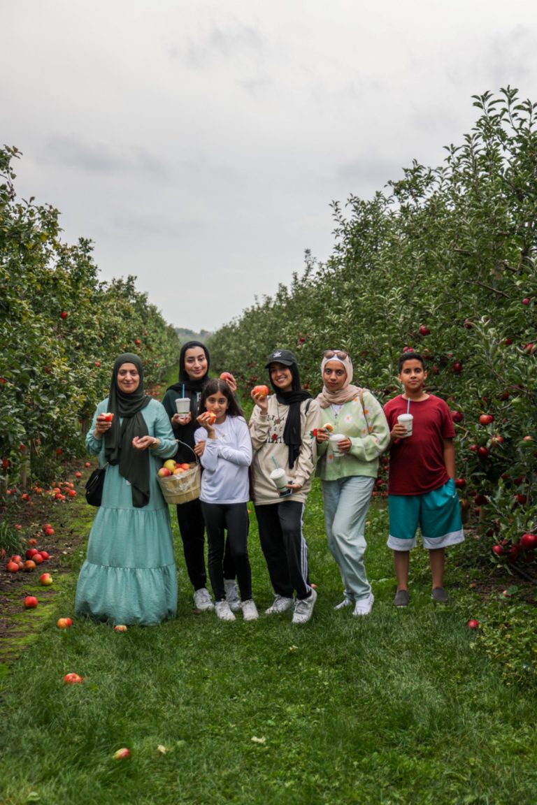 King Orchards Farm – King Orchards
