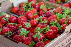 King Orchards Farm – King Orchards