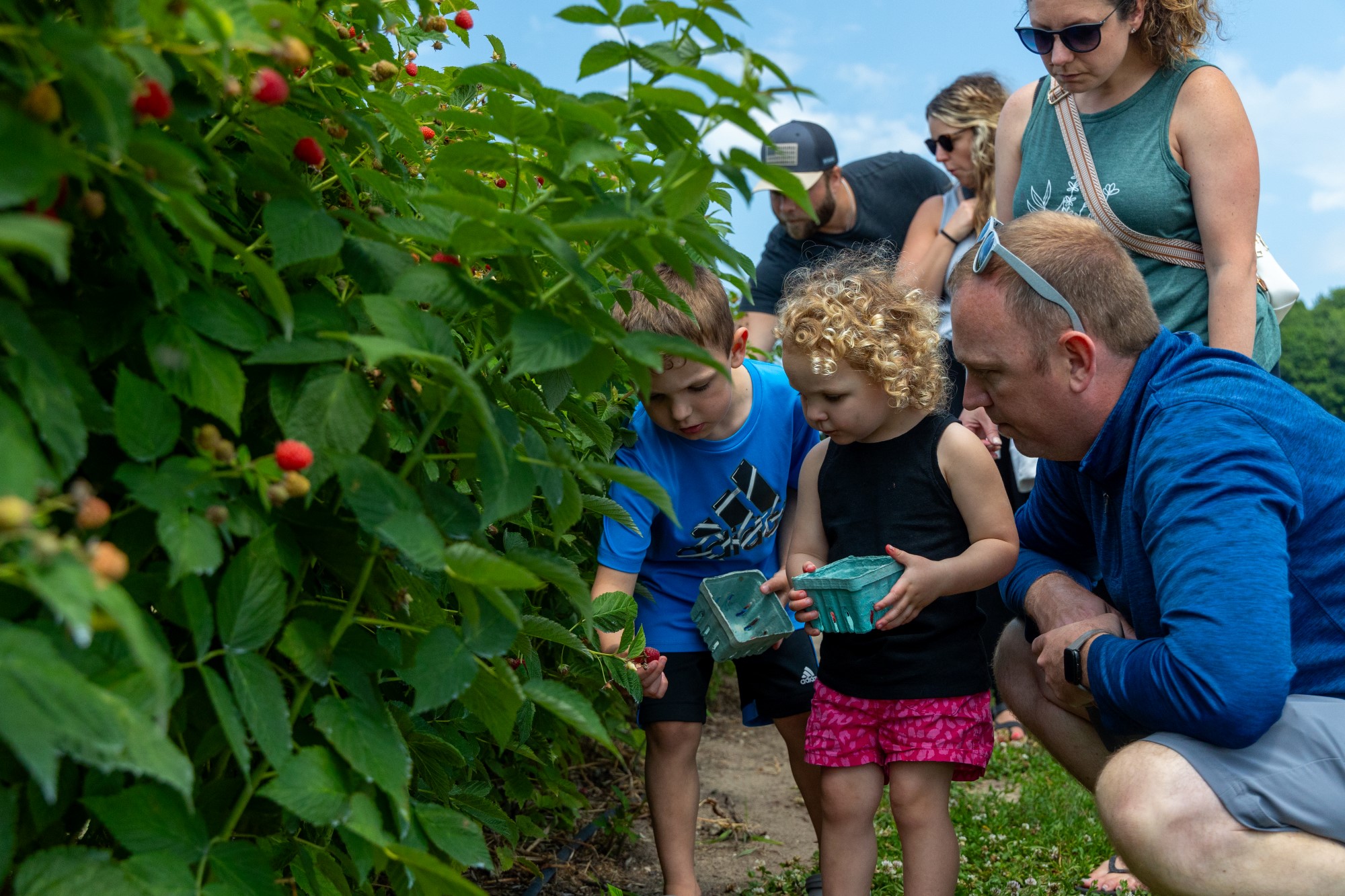 King Orchards Farm – King Orchards