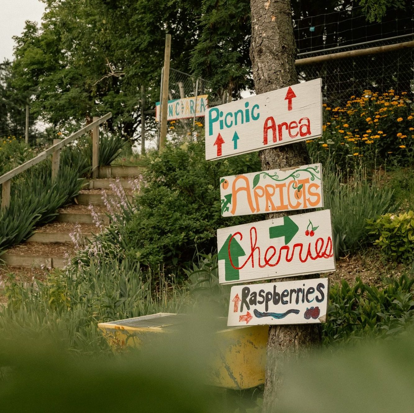 King Orchards Farm – King Orchards